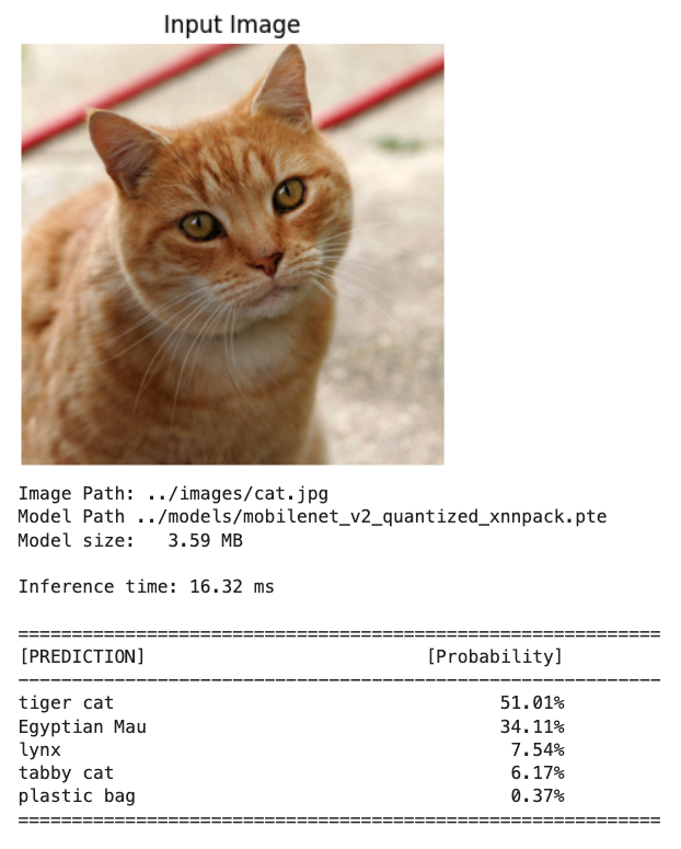 Edge AI Engineering - Image Classification with EXECUTORCH
