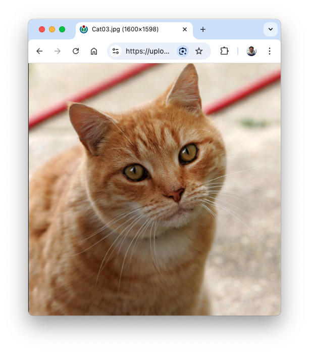 Edge AI Engineering - Beyond CPU - Hardware Acceleration for Edge AI
